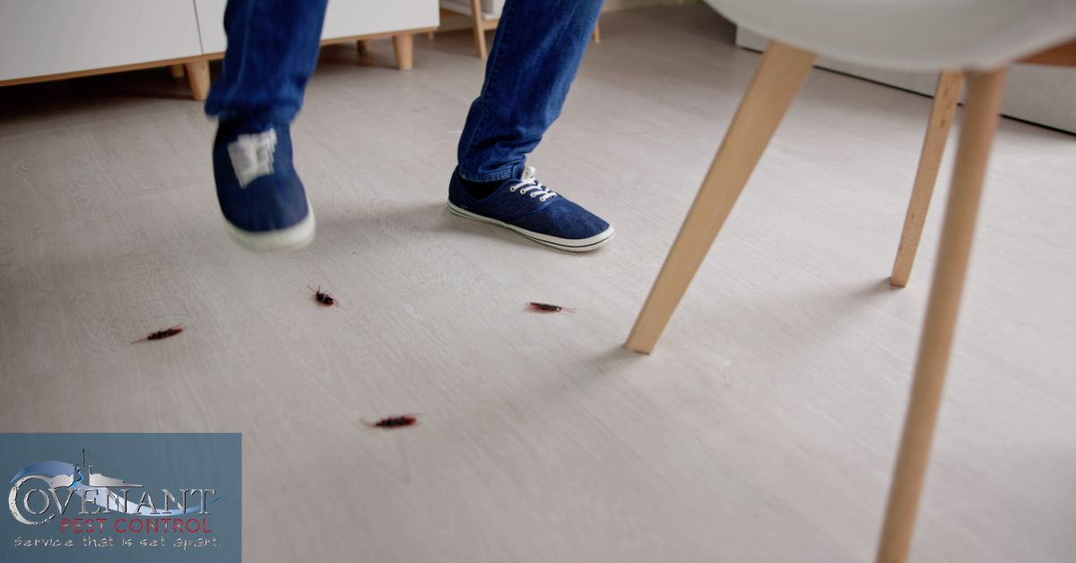 10 Common Household Pests and How to Keep Them Out